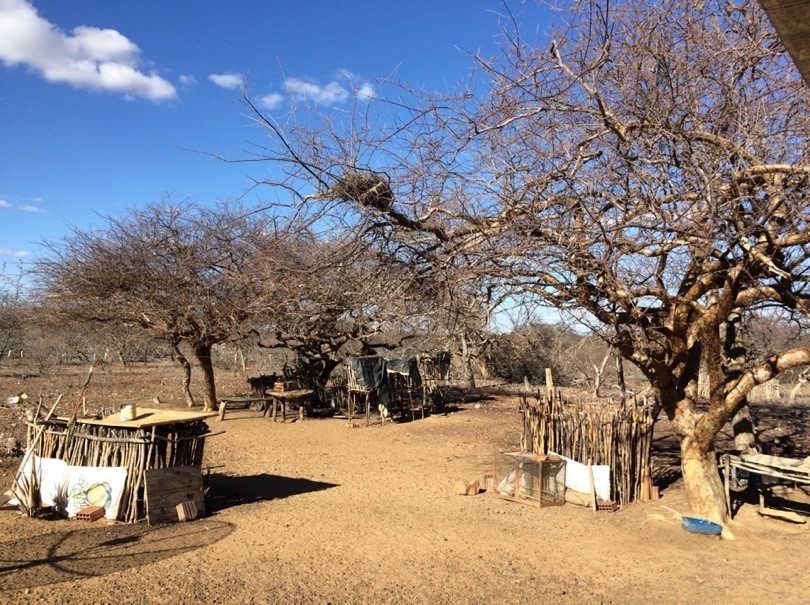 Bioma Caatinga - INCT Odisseia